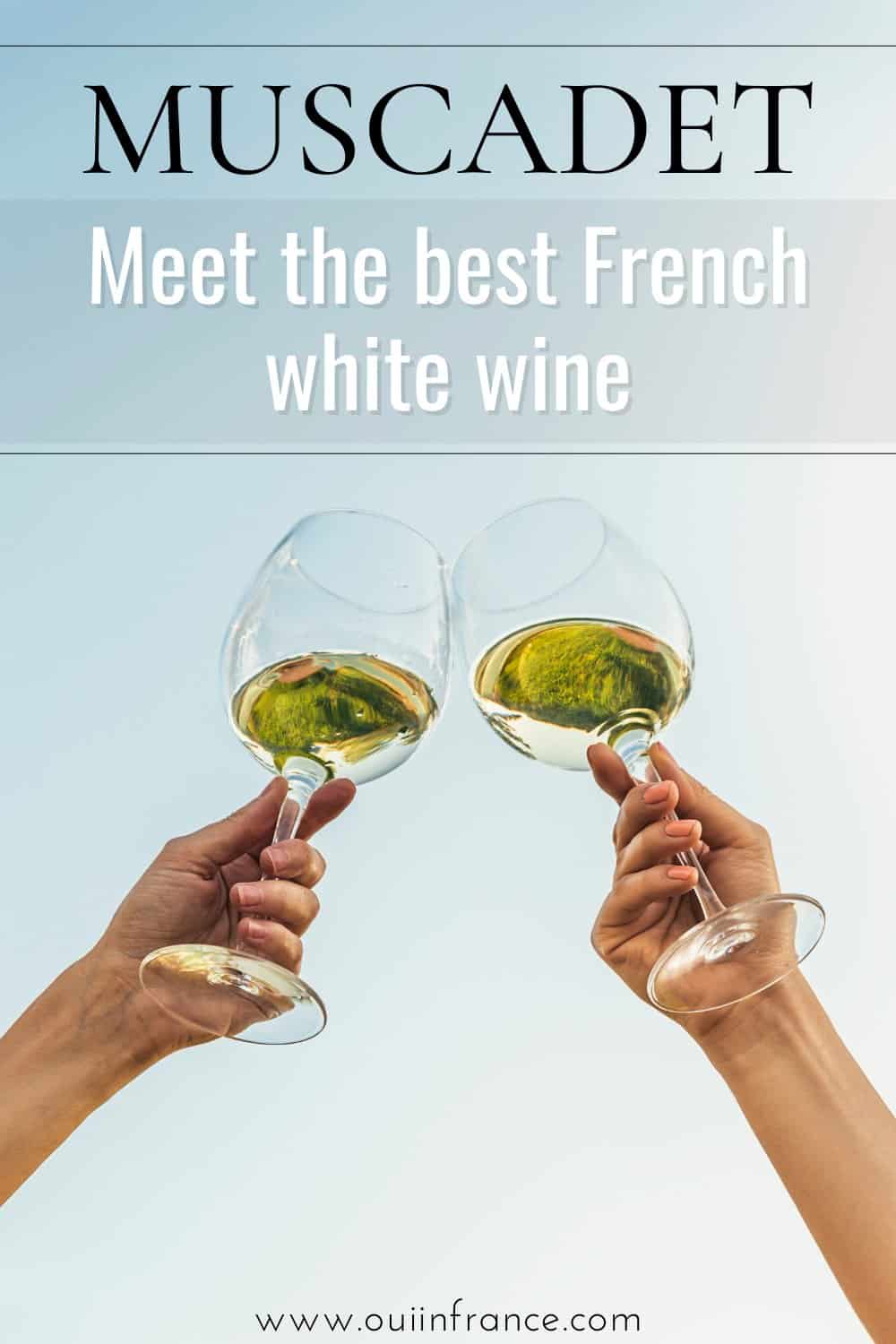 Here's why Muscadet is the best French white wine