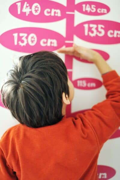 What does petite mean in French?